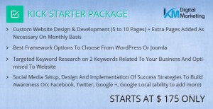 Website Design and Development – Kick Starter Package